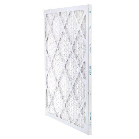 Rheem EQP 40 Filter - MERV 8 - 10 in. x 10 in. x 1 in. RED-EQP4010101 ...